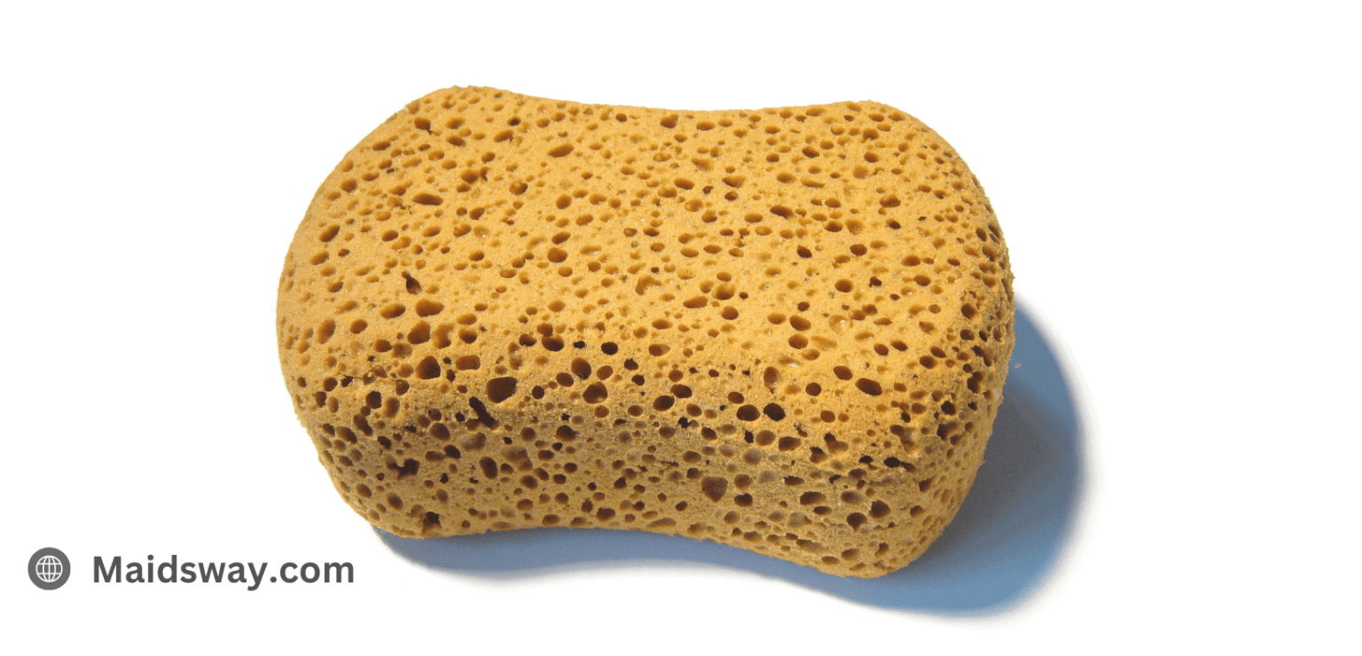 10 Types of Cleaning Sponges: Choose the Best for Every Mess